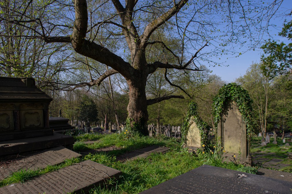 Churchyard – St Mary's Prestwich History & Heritage